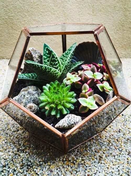 How to Make a Terrarium with Stunning DIY Examples | The Rental Files