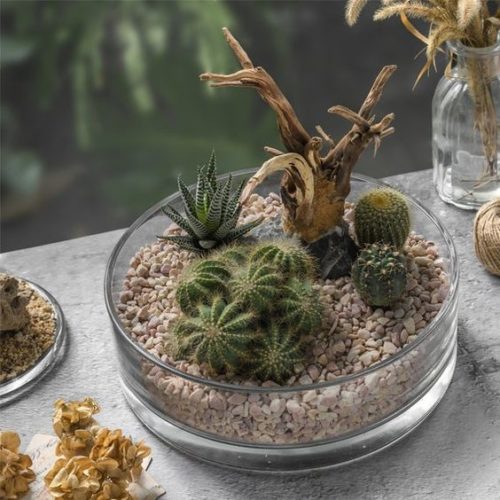 How to Make a Terrarium with Stunning DIY Examples | The Rental Files