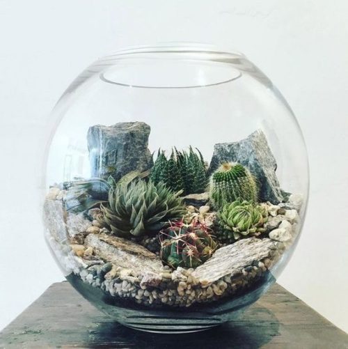 How to Make a Terrarium with Stunning DIY Examples | The Rental Files